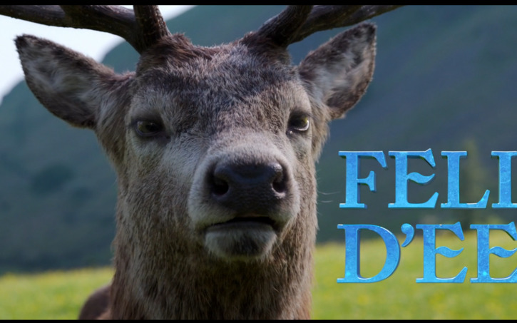 3D design Felix D'eer (HE GOT 2 YEARS, HAPPY BIRTHDAY) - Tinkercad