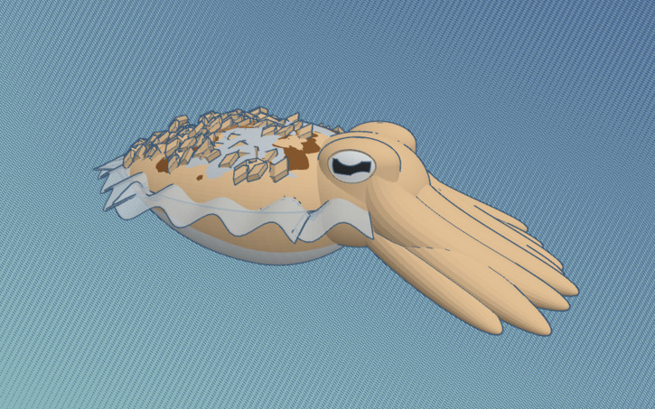3D design Cuttlefish - Tinkercad