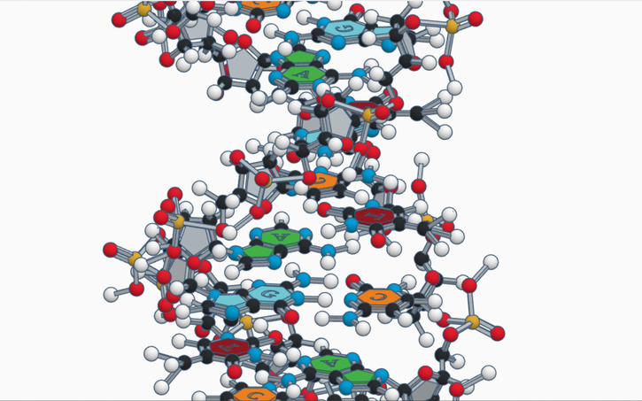 3D design DNA - Tinkercad