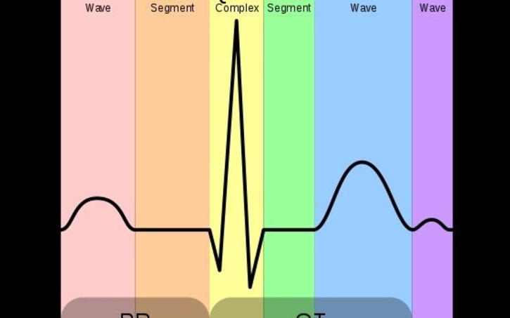 Circuit design ECG Simulator - Tinkercad