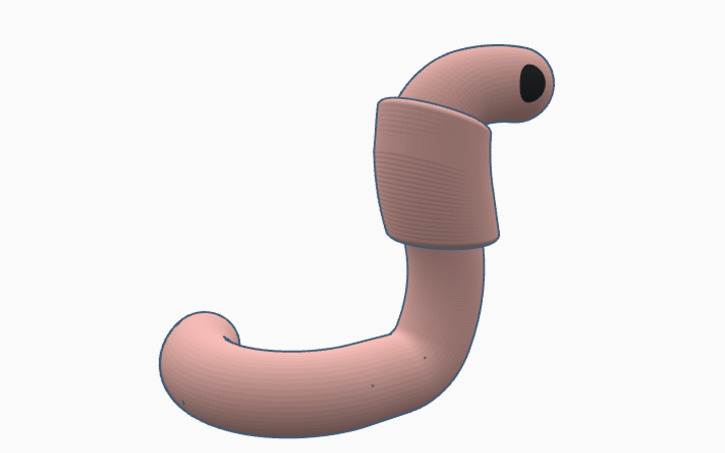 3D design Worm - Tinkercad