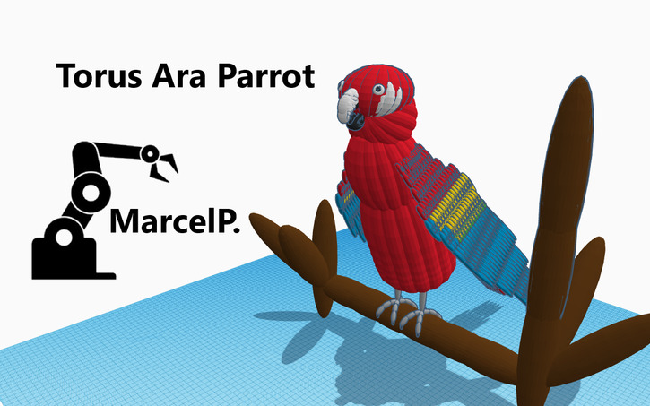 3D design Torus Ara Parrot - Tinkercad