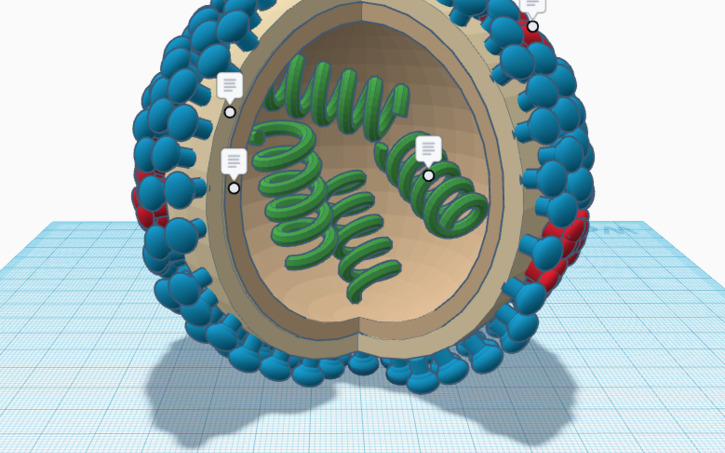 Flu Virus 3d Model Influenza Proteopedia, Life In 3D