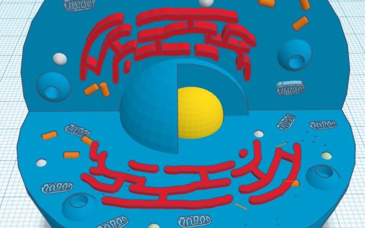 3D design Cell (3d Printable) - Tinkercad