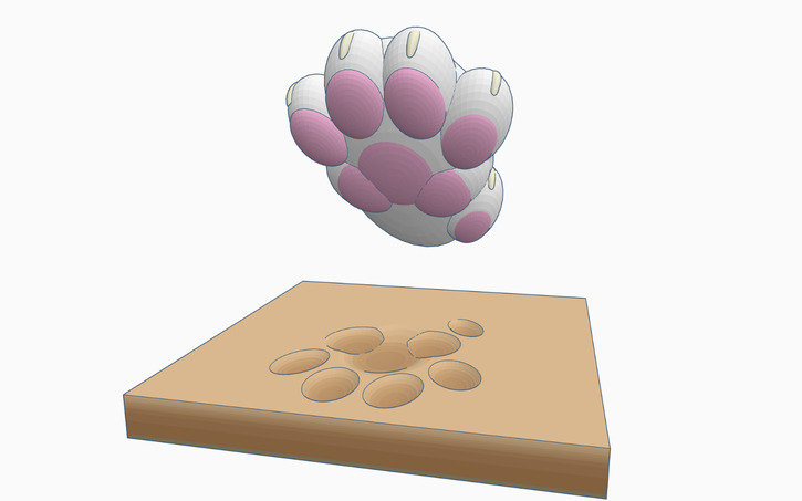 3d Design Cats Paw Print Tinkercad